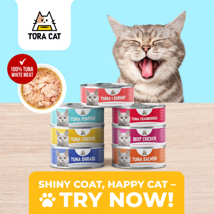 New Flvour !Toracat Premium Wet Tuna Cat Can Food ,Tuna Salmon 80g x24 | Lazada Singapore