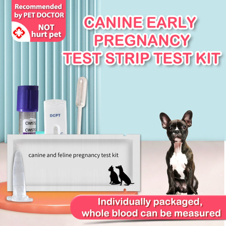 [four seasonspet] Dog Pregnancy Test Strip Dog Pregnancy Test Card ...