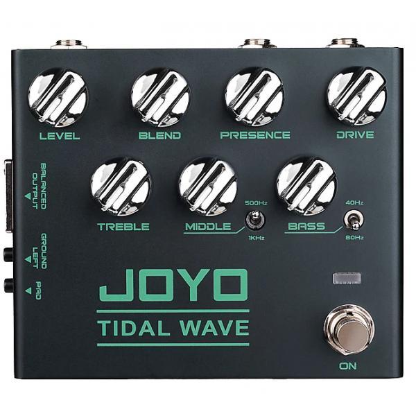 Joyo R-30 Tidal Wave Classic Bass tone of the 90s | Lazada PH