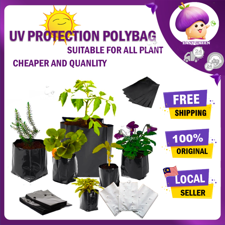 1Pc UV Protection PolyBag /Thick Nursery Plantation Plastic Poly bag ...