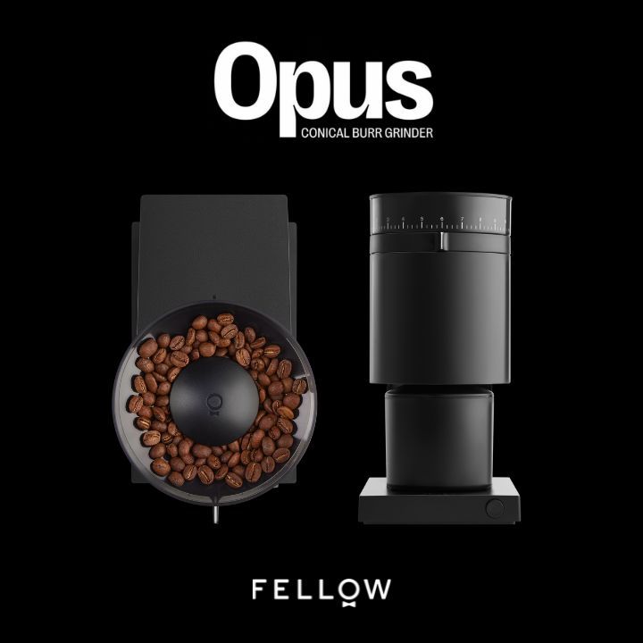 Fellow Opus Conical Burr Grinder | Lazada Singapore