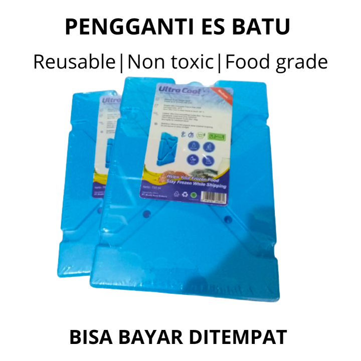 Ice Pack Pendingin Es 22 x 15 x 3 cm Ice Pack Ultra Cool Tahan Suhu ...