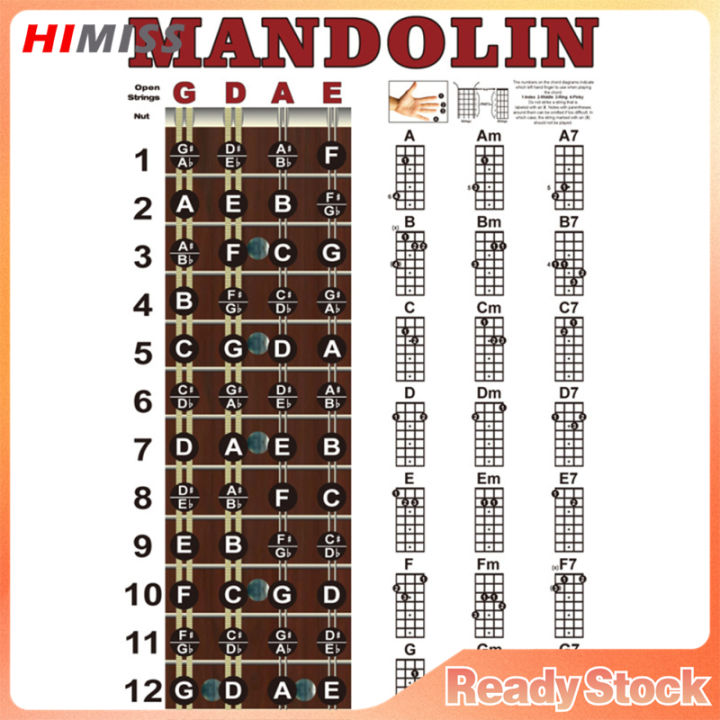 Mandolin Fretboard Notes Chart Finger Placement Chords Theory Poster ...