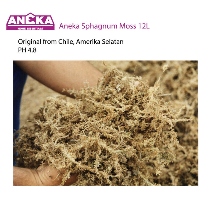 Aneka Brand Sphagnum Moss 12L Bonsai Growing Orkid Rose Dried Peat Moss ...