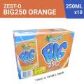 ZESTO BIG READY TO DRINK JUICE 250ML 1 BOX (10 PCS) CHOICE YOUR FLAVOR ...