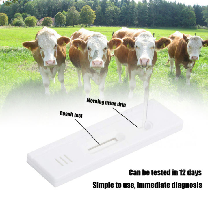 Cow Pregnancy Test Strip, 3 X 0.9 Inch Cow Pregnancy Tester, Pregnancy ...