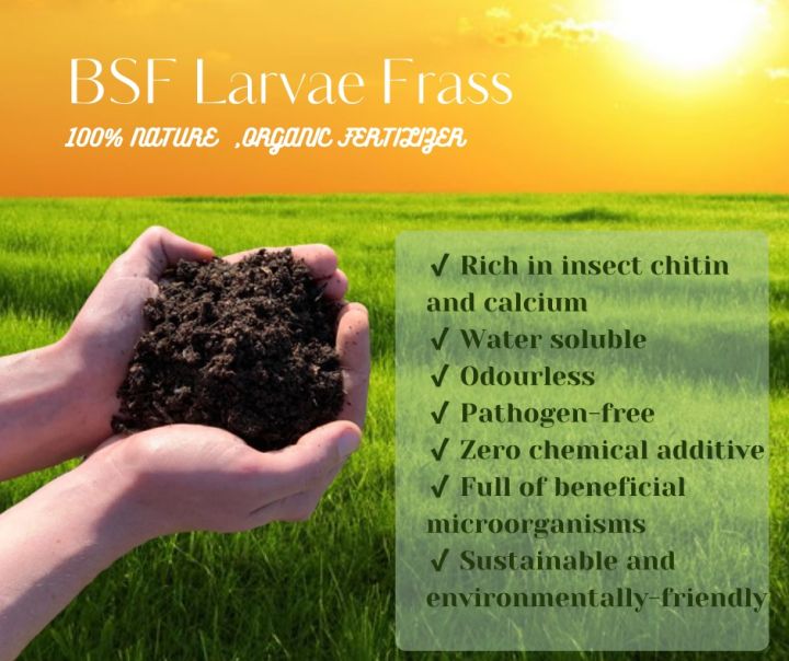 Black Soldier Fly Frass/Black Soldier Fly Organic Fertilizer/Black ...