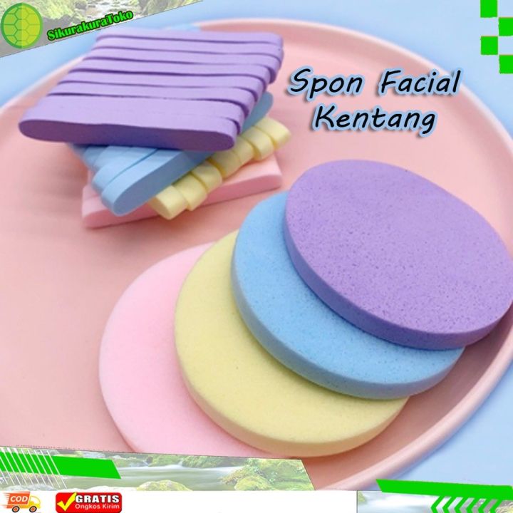SPONS KENTANG FACIAL / STICK KENTANG / SPONS FACIAL PEMBERSIH MUKA ...
