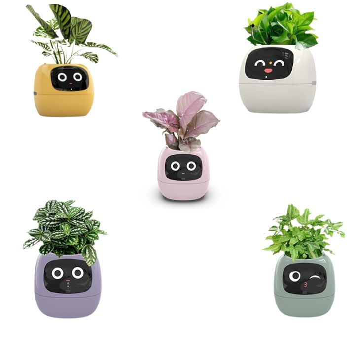 Ivy Smart Planter,USB Rechargeable Indoor Small Flower Pot for Indoor ...