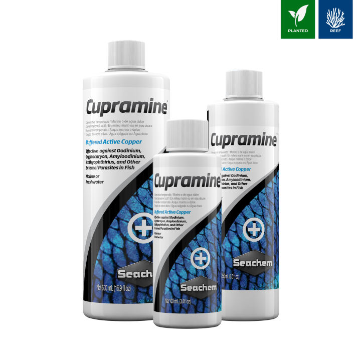 Seachem Cupramine | Fish Medication for Ich and Velvet | Lazada PH