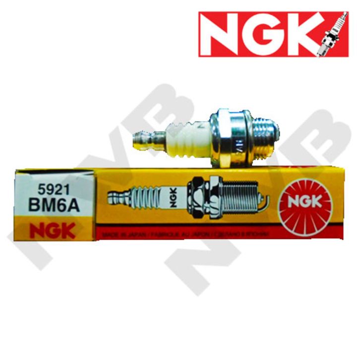 NGK BM6A Spark Plug 10's | Lazada PH
