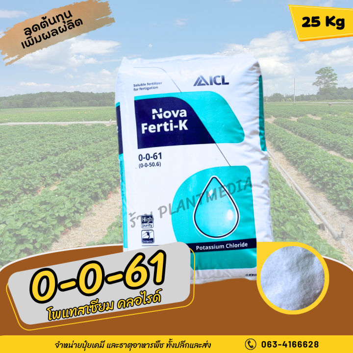 ปุ๋ยเกล็ด 0-0-61 โพแทสเซียม คลอไรด์ Potassium Chloride (KCl) Nova Ferti ...