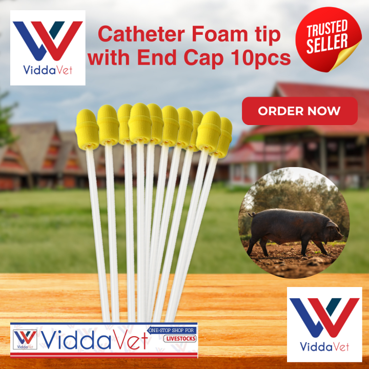 Viddavet Foam tip Catheter with end cap for gilts for pigs 10pcs pig AI ...