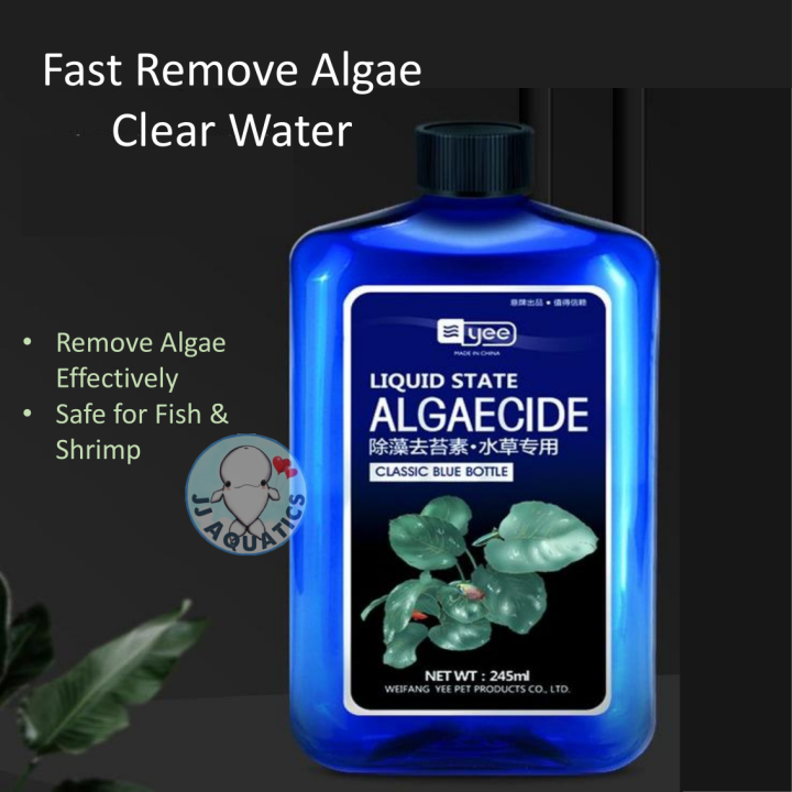 🔥Ready Stock🔥YEE Algaecide Algae Moss Removal Agent Clear Green Water ...