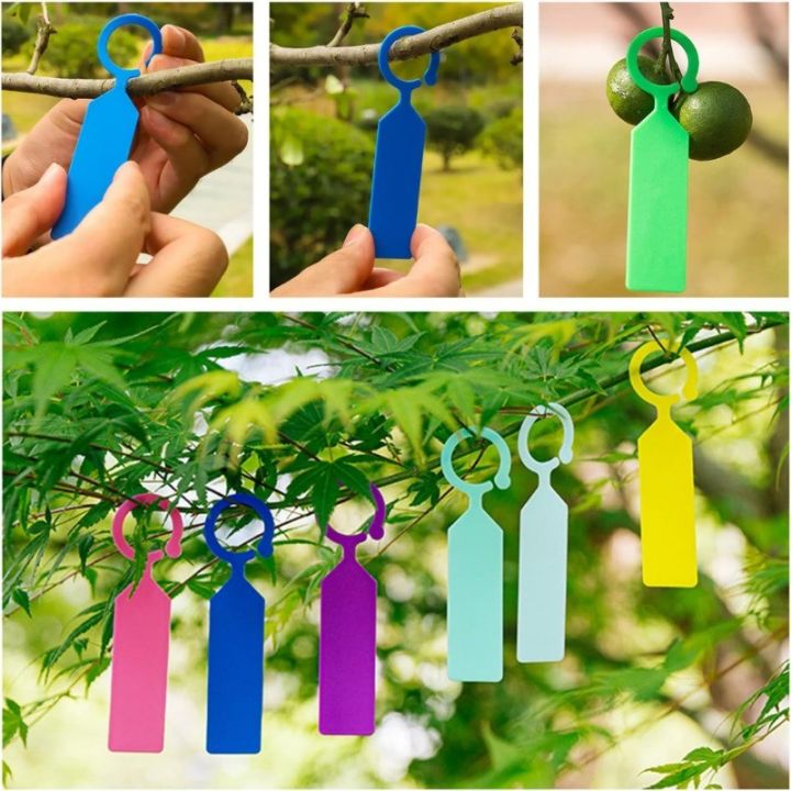 100 Pcs Plastic Plant Labels - Garden Waterproof Hanging Plant Tree ...