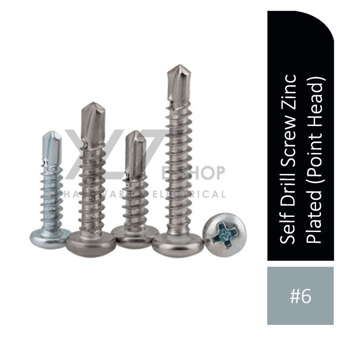 Self Drill Screw #6 / #8 (Point Head) Skru Besi (20pcs) | Lazada