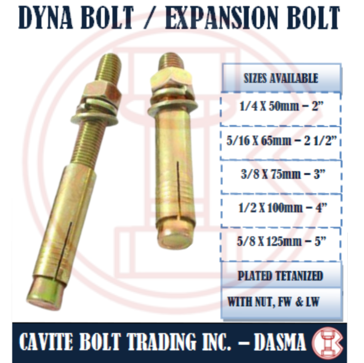 DYNA BOLT / EXPANSION BOLT (10 PCS) | Lazada PH