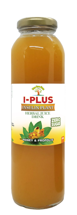 I-Plus Insulin Plant Herbal Juice Drink, 350 ml | Lazada PH