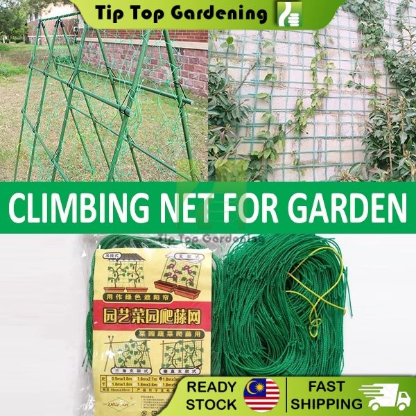 CRAWLING NET FOR FLOWER VEGETABLE PLANT NYLON MADE CLIMBING NET ...