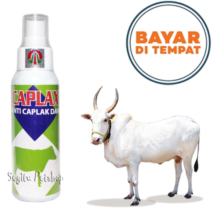 Obat Anti Kutu Sapi Kerbau Basmi Parasit Tungau Belatung Caplax Sapi ...