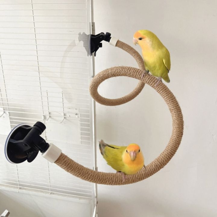 Parakeets Perch Bird Perches Standing Perch Suction Cup Folding Perch ...