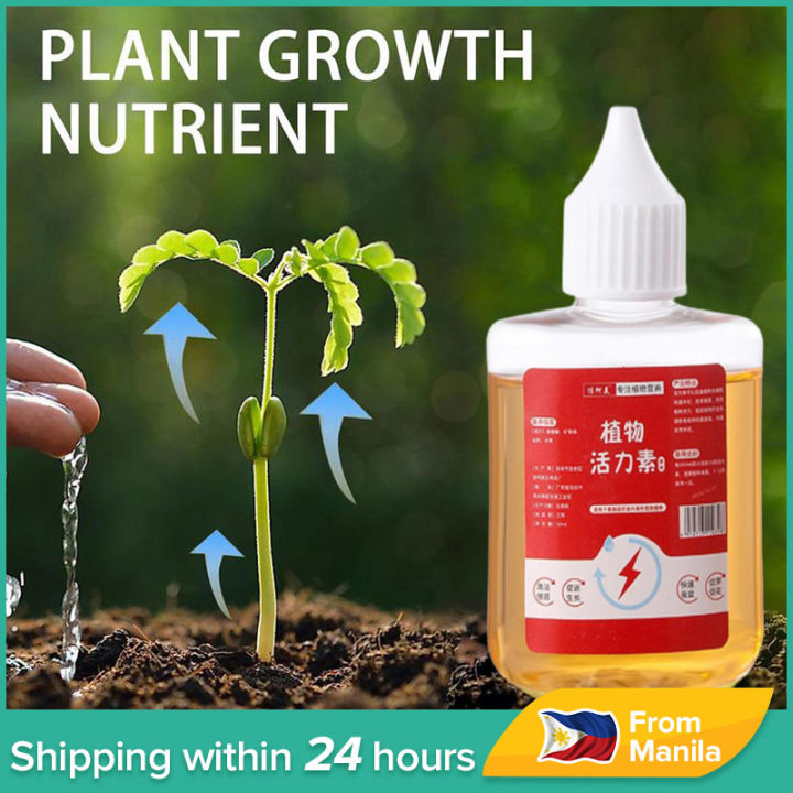 Plant Growth Enhancer Supplement 50ml Plant Supplement Promotes Rooting ...