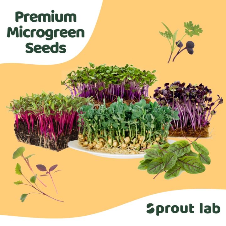 Sprout lab | Organic Microgreen Seeds - High Germination | Vegetable ...