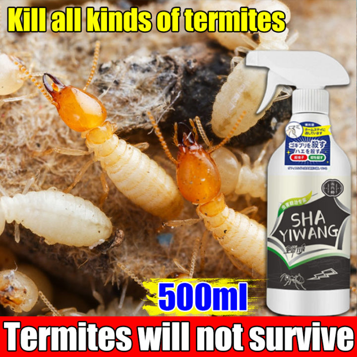 【All the termites are dead】BIUU Termites killer spray Anay killer spray ...