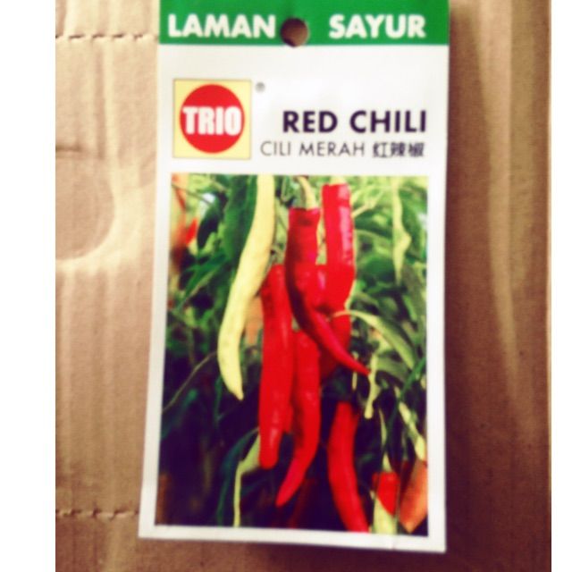 🌱🌱BIJI BENIH SAYURAN CILI MERAH | Lazada