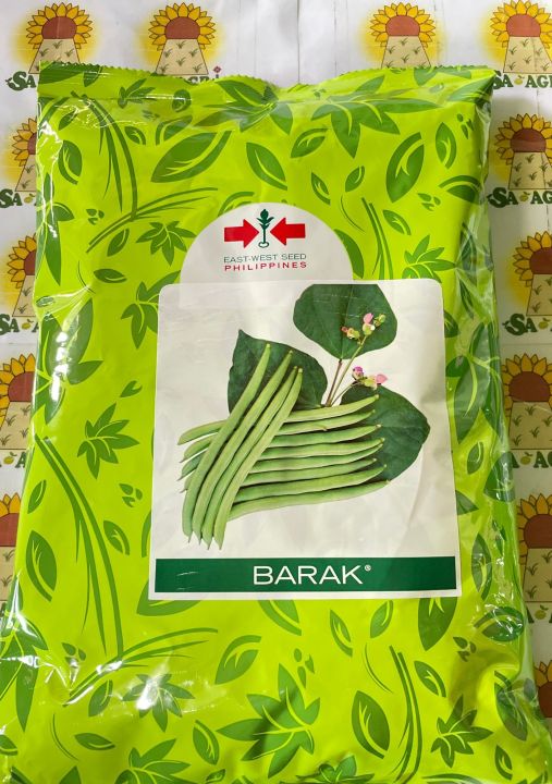 Barak Beans Seeds ( 1 kilo) by East West Seeds | Lazada PH