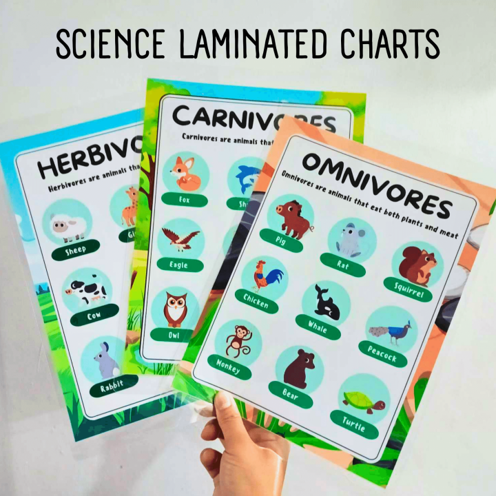 Science Laminated Educational Learning Charts (A4 size/photo paper ...