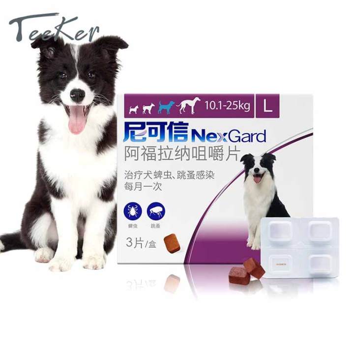 Nexgard Anti Tick and Flea Chewable Tablets for Small Medium Large ...