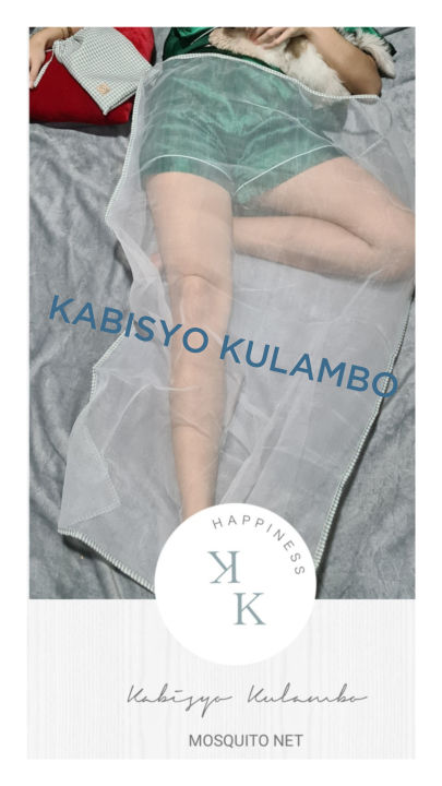 Kabisyo Kulambo (kulambo sa paa with pouch) Mosquito Net | Lazada PH