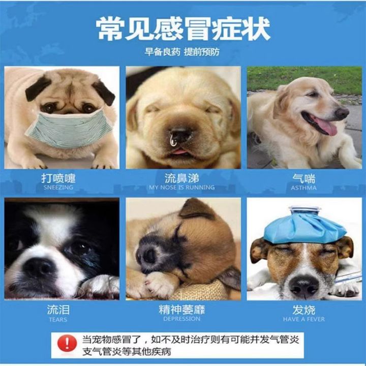 Dog's nest cough specific medicine Dog has a cold, fever, cough ...