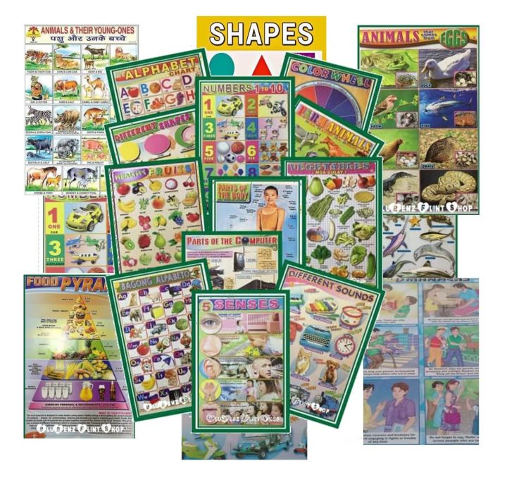 Educational Chart 20pcs per Set Paper Chart | Lazada PH
