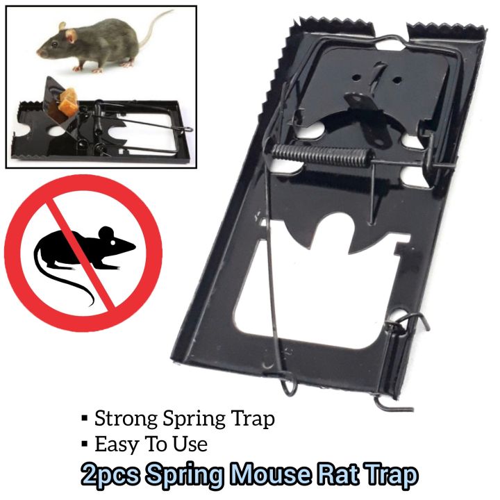 2pcs Strong Spring Mouse Rat Catcher Trap | Lazada