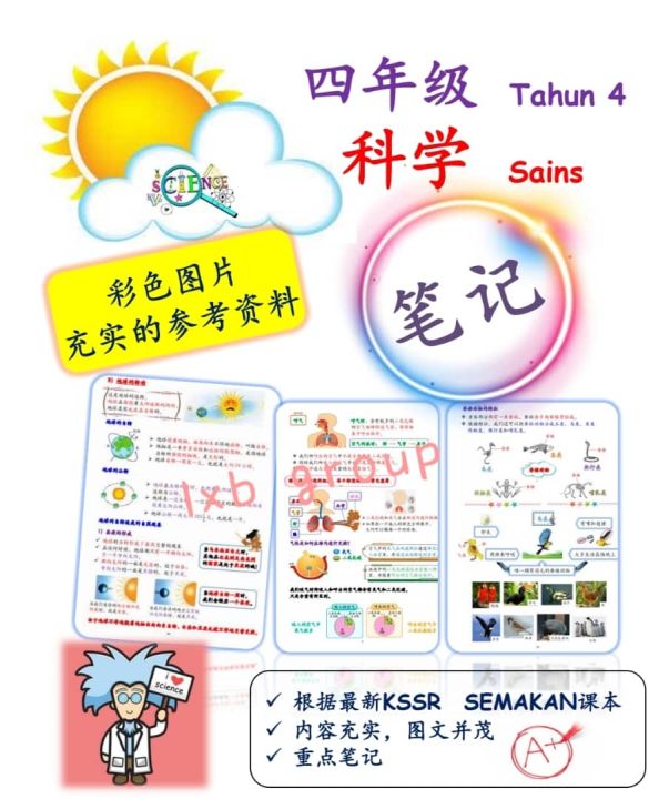 📕四年级科学笔记💥详细彩色完整全年笔记 📕Science Note Year 4 💥Full-Year Detailed Notes ...