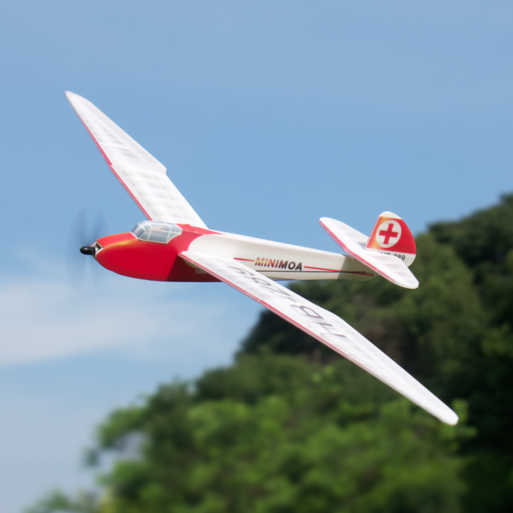 Minimumrc Minimoa Glider Gull-wing 700mm Wingspan KT Foam Micro RC ...