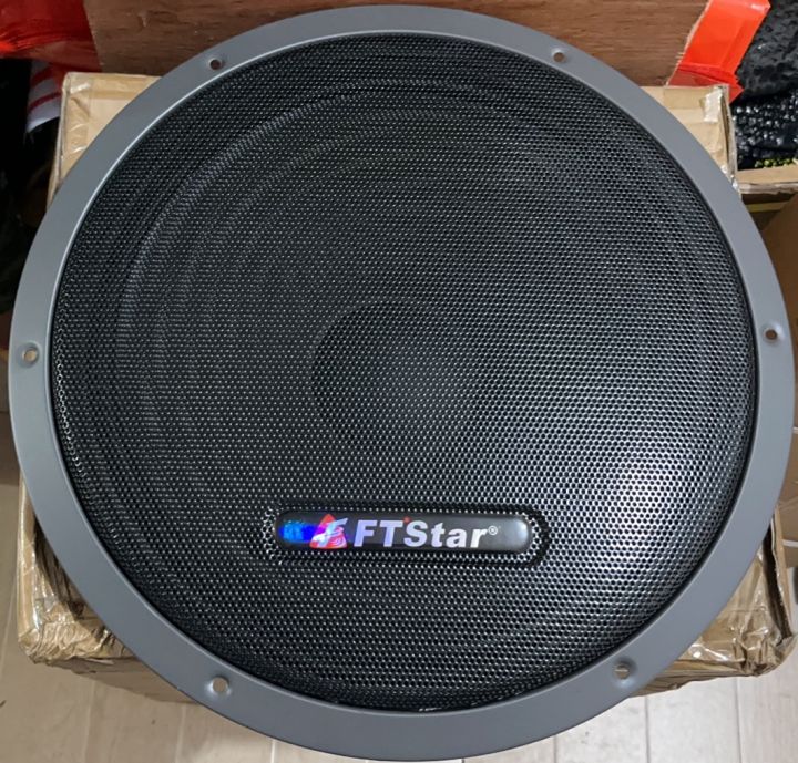 FT STAR Videoke Speaker 15-inch SG-15W Professional Hi-Fi Woofer ...
