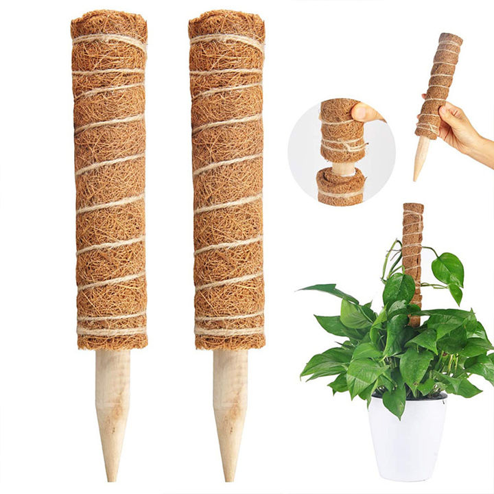 [Ready Stock] Moss Rod Plant Support Coconut Palm Stick Climbing Vine ...