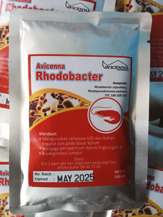 Probiotik untuk Memperbaiki kualitas air pada budidaya Udang dan Ikan ...