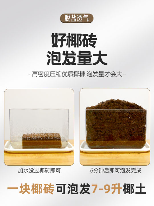 Coconut Brick Nutritive Soil Universal Vegetable Raw Coconut Bran ...