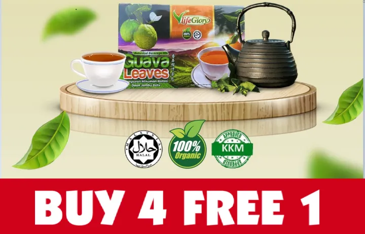 Guava Leaves Tea Teh Daun Jambu Batu V Life Glory 100% Organic HALAL ...