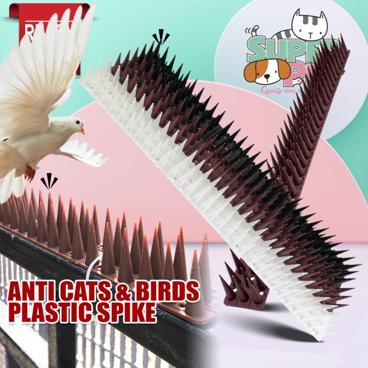 Plastic Anti Cat Bird Spike Cat Repellent Animal Pest Control ...