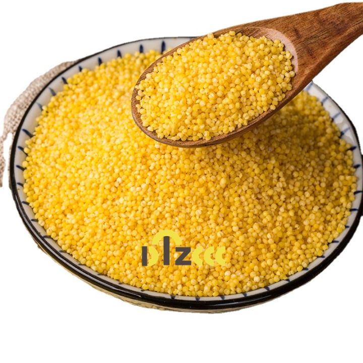Rice Fat Yellow Millet Oil Millet Rice Oil More New Rice Farmer's Self ...
