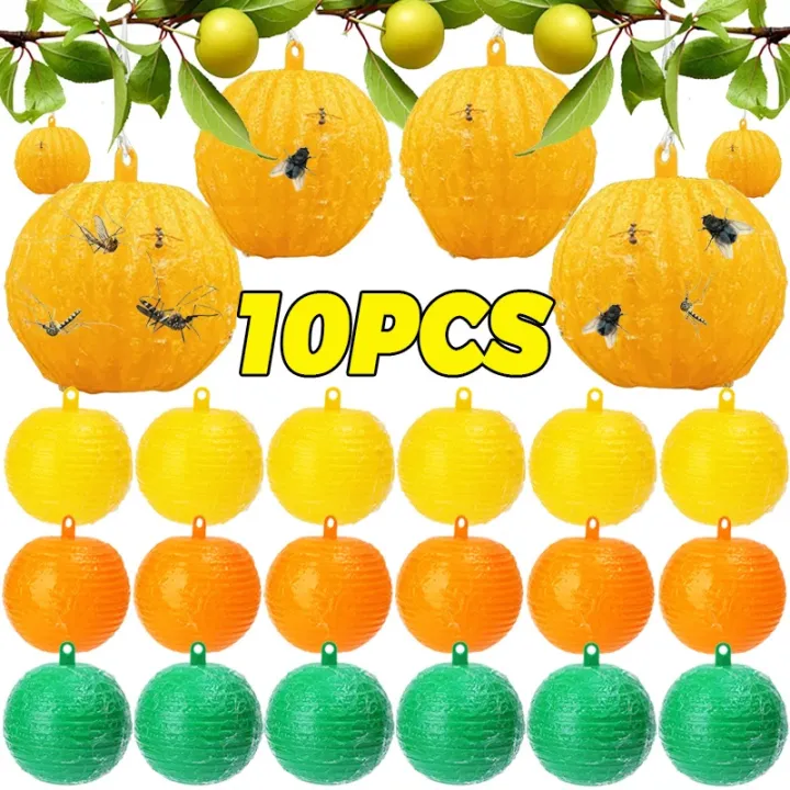 【XZxinzhan】10PCS Ball Fruit Fly Catcher Pest Control Sticky Ball 8cm ...