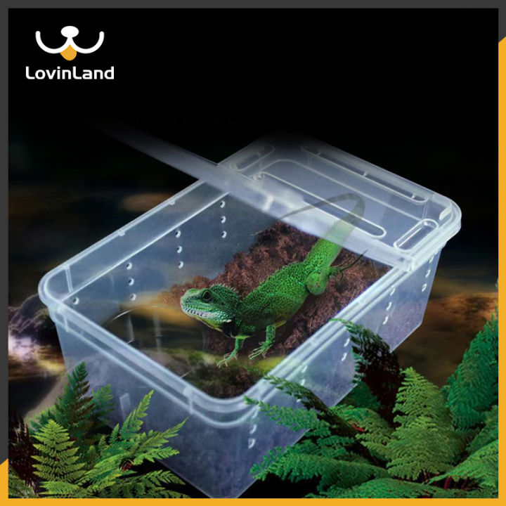 [Lovinland] Silkworm Feeding Box Tarantula enclosure Feeding Box ...