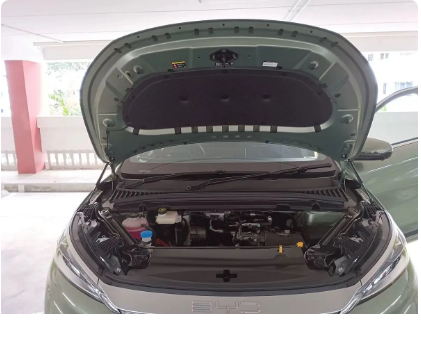 Hood Struts for BYD Yuan Plus FOR BYD Atto 3 2021 2022 2023 2024 Front ...