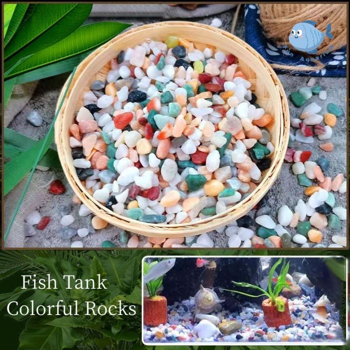 Colorful Rock Natural Pebbles Stones Fish Tank Bottom Decoration Potted ...