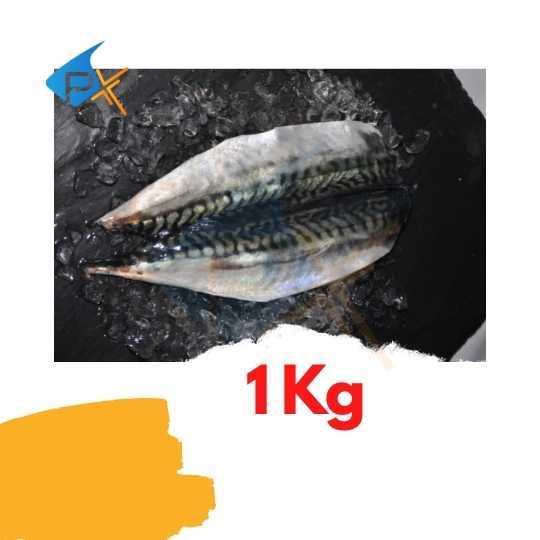 Saba Mackerel Fillet 鲭鱼片 | Lazada